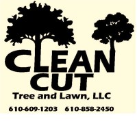 Contact – Clean Cut Tree and Lawn LLC