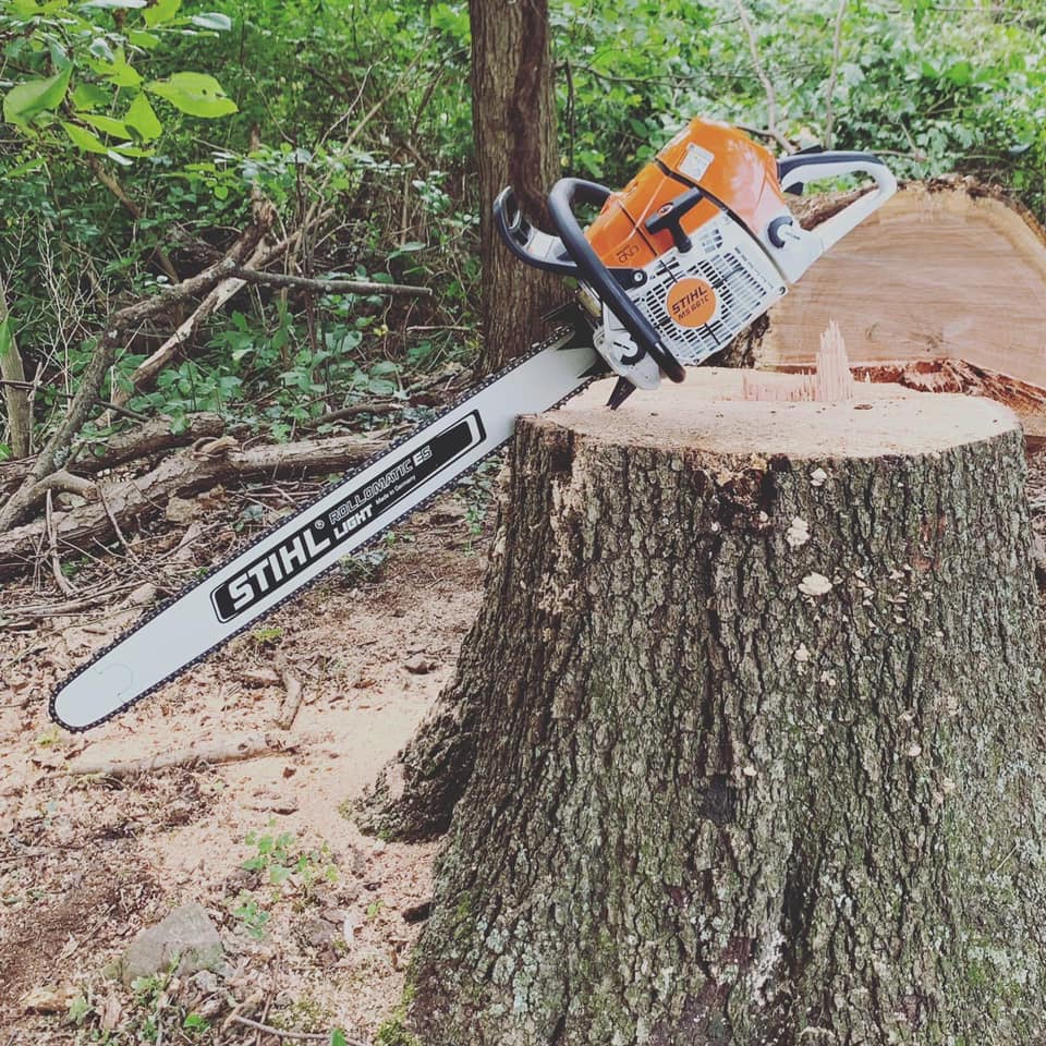 What We Do – Clean Cut Tree and Lawn LLC