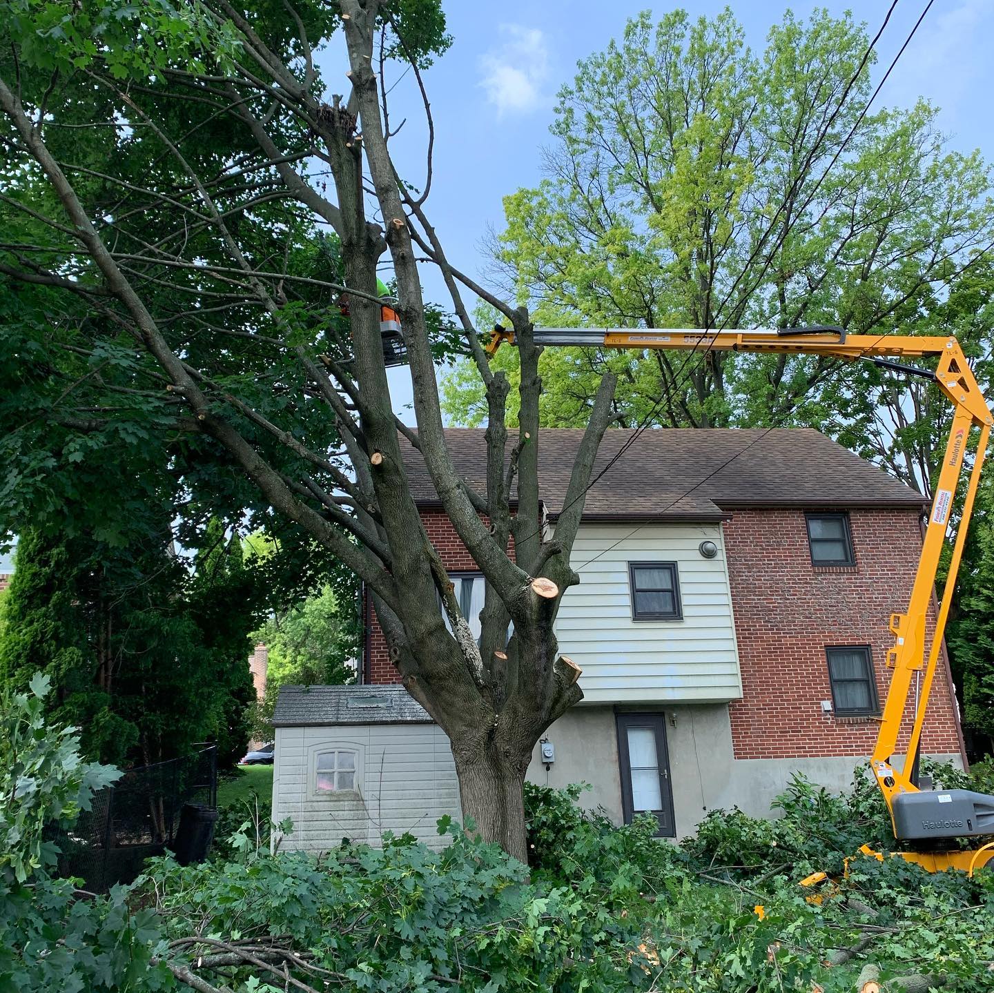 What We Do – Clean Cut Tree and Lawn LLC