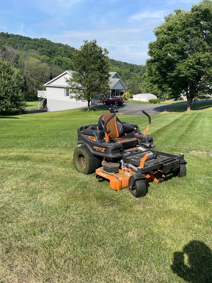 What We Do – Clean Cut Tree and Lawn LLC
