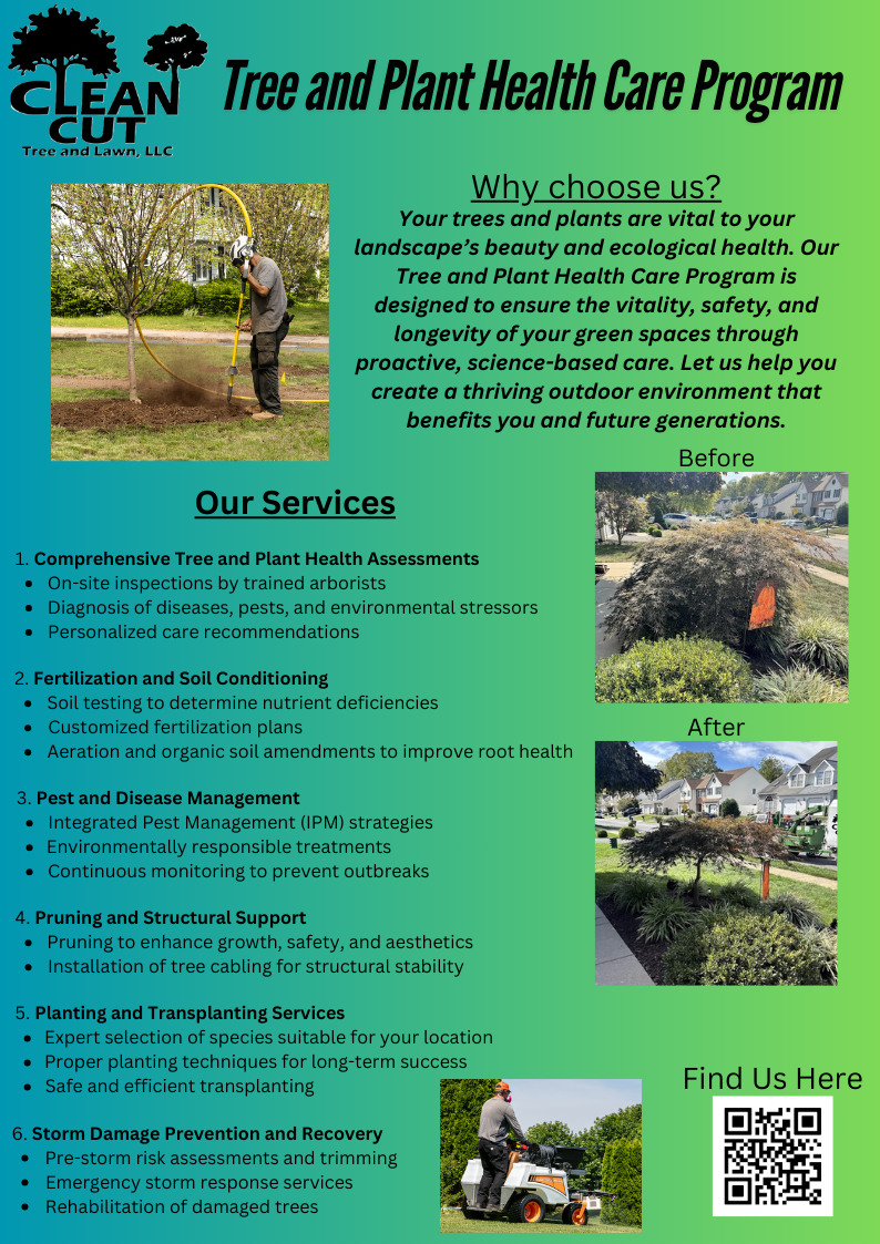 PHC (Plant Health Care) – Clean Cut Tree and Lawn LLC