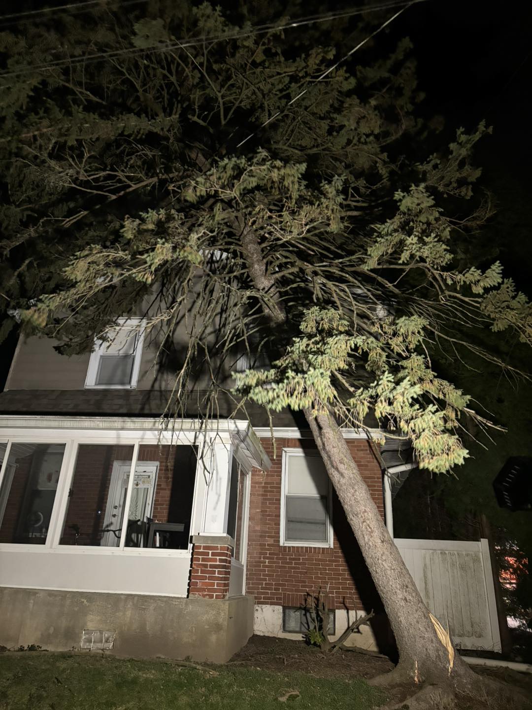 What We Do – Clean Cut Tree and Lawn LLC